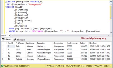 Sql Query To Select All If Parameter Is Empty Or Null