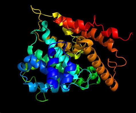 Pde8a Alchetron The Free Social Encyclopedia