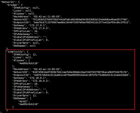 一文读懂：docker从入门到进阶（超详细实践应用、零踩坑）docker 系统性入门进阶实践 Csdn博客