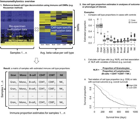 Cell Type Deconvolution From Dna Methylation A Review Of Recent