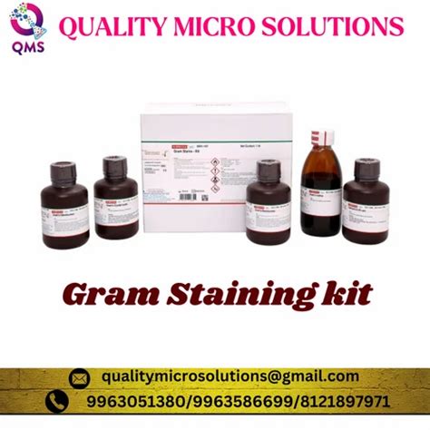 Gram Stain Kit At Best Price In Hyderabad By Quality Micro Solutions