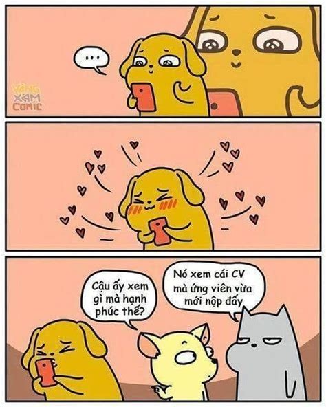 Java Android Openjob Thoa Tran