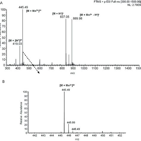 Detection Of The Intermediate I Of The DAC Assay A LC ESI MS Download Scientific Diagram