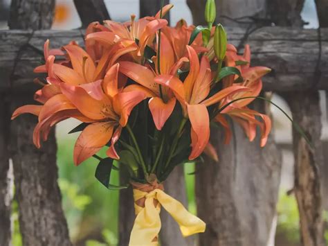 27 Sweet Lily Wedding Bouquet Ideas To Fall In Love With