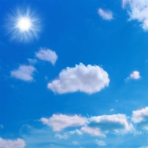 Bright Sunny Day