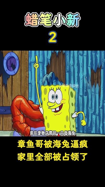 【海绵宝宝】章鱼哥玩到精神分裂，海兔群成大灾难！新番 动漫 动画 動漫二次元海绵宝宝 Youtube