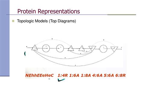 Ppt From Kolmogorov And Shannon To Bioinformatics And Grid Computing Powerpoint Presentation