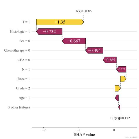 机器学习模型shap解释——r语言 R语言shap Csdn博客
