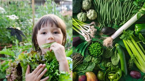 سبزیجات برای کودکان از اهمیت تا راهکارهای جذب