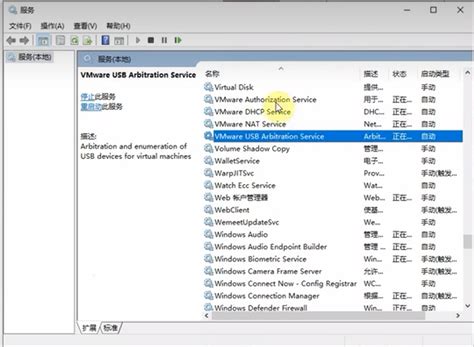 虚拟机双网卡设置（外网 内网） csdn博客