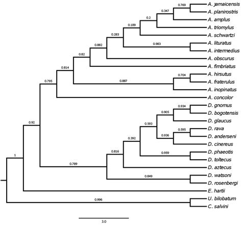 bayesian 100 majority consensus tree based on the partitioned