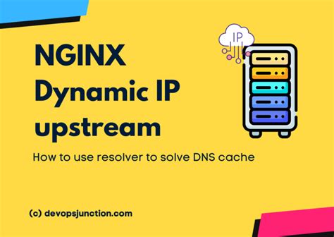 NGINX Dynamic IP Address Upstream DNS Cache Issue How To Solve