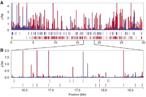 Recombination Rates Vary At A Fine Scale Across Chromosome One A