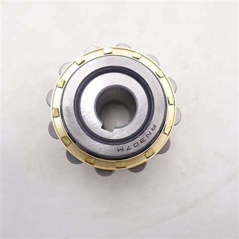 Rn307 Bearing Reducer Eccentric Rn205 Rn206 Rn305 Cylindrical Roller