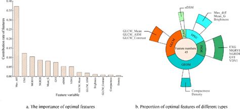 基于无人机rgb图像的卷心菜个体检测方法比较：深度学习和图像分析（obia） 知乎