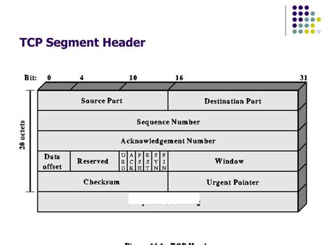Ppt Osi Layer Powerpoint Presentation Free Download Id5904918 Ppt Osi Layer Powerpoint Presentation Free Download Id5904918