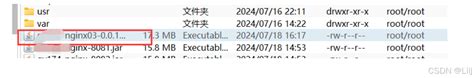 nginx详解（超级详细） csdn博客