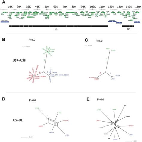 Recombination Analysis Using Bootscan And Simplot A And B Illustrate Download Scientific