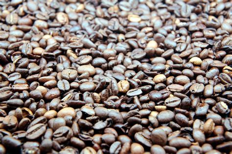 3 무료 남아메리카 커피 And 커피 이미지 Pixabay