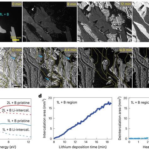 Dynamic Observation Of Lithium Intercalation And Deintercalation A Download Scientific Diagram
