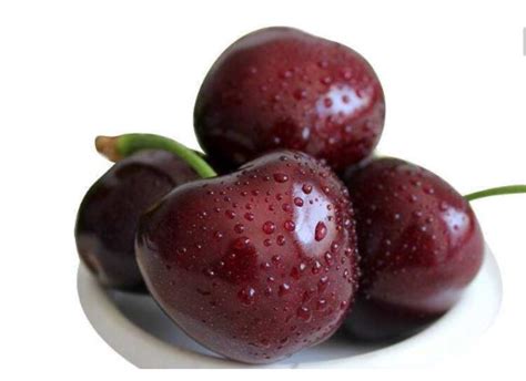 樱桃与黑樱桃，傻傻分不清 百科ta说