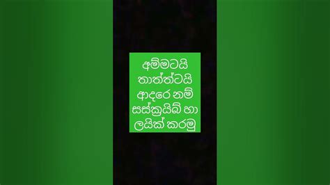 අම්මටයි තාත්තටයි ආදරෙ නම් සස්ක්‍රයිබ් හා ලයික් කරමු 💖 Youtube