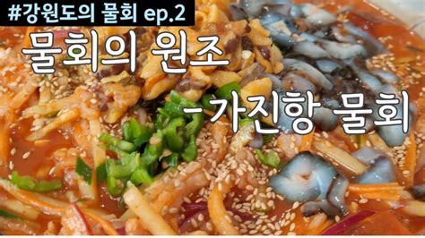 속초맛집 강원도식 물회의 원조 가진항 물회속초물회고성맛집 Youtube