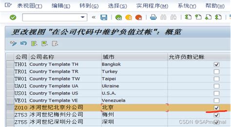 matinal：sap 关于如何设置反记账，都在这里了 sap反记账 csdn博客