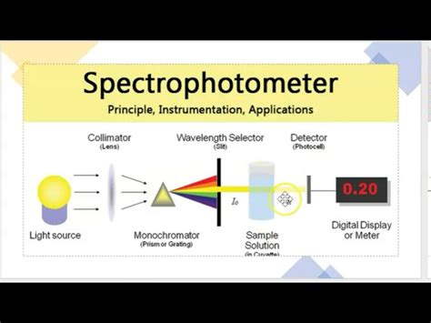 Spectrophotometer