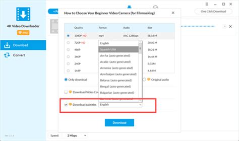 How To Extract Subtitles From Videos MKV MP4