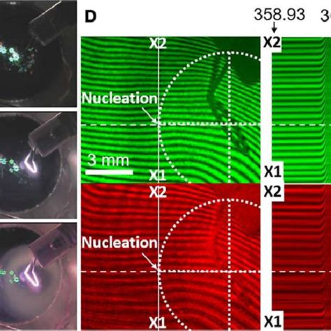Snapshots Of In Situ Observations At The Moment Of Nucleation Of Sio Download Scientific