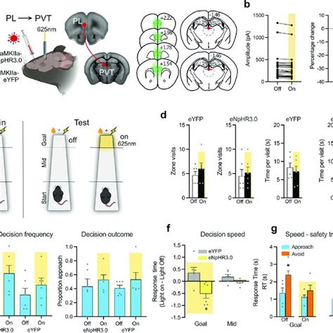 Spatiotemporal Properties Of Decision Making Under Motivational