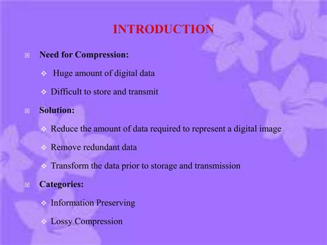 Fundamentals And Image Compression Models Pptx Data Storage And Warehousing Computing