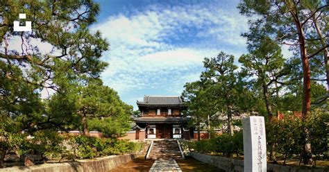 검은 색과 갈색 탑 건물 사진 Unsplash의 무료 길 이미지