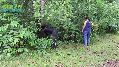 “ක්ලීන් ශ්‍රී ලංකා“ ජාතික වැඩසටහනට සමගාමීව මාතර “කිරළ කැලේ“ආක්‍රමණික ශාක ඉවත් කර මී පැළ රෝපණය