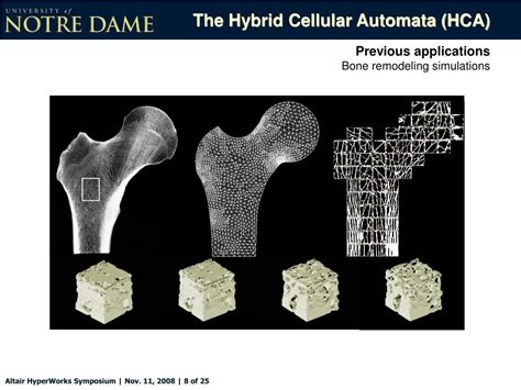 PPT Crashworthiness Design Using Topology Optimization PowerPoint Presentation ID