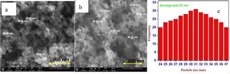 Sem Image Of A Tio2 And B P Ctio2 Respectively And C Particle