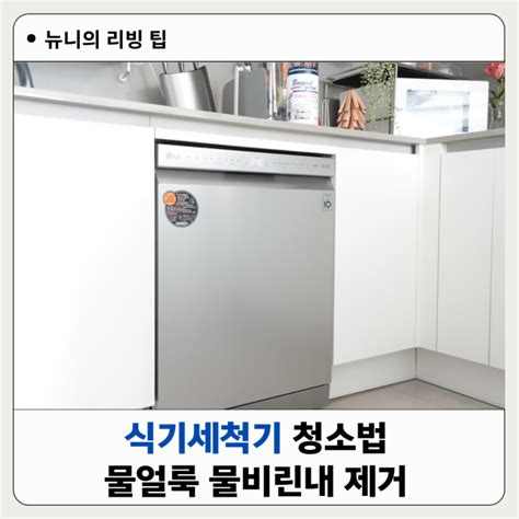 식기세척기 청소법 물비린내 물얼룩 제거에 좋은 식세기세제 네이버 블로그 식기세척기 청소법 물비린내 물얼룩 제거에 좋은 식세기세제 네이버 블로그