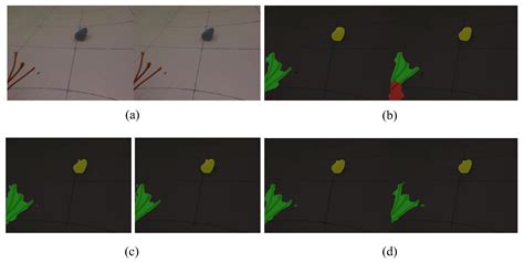 Sensors Free Full Text Image Semantic Segmentation Of Underwater