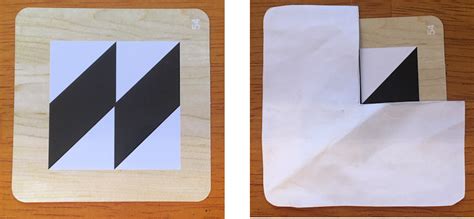 The Playful Otter Q Bitz Jr