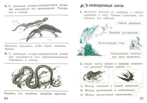 Иллюстрация 1 из 40 для Окружающий мир 2 класс Тетрадь для тренировки и самопроверки В 2 х