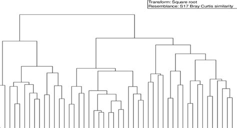 Cluster Analysis Of Assemblages Developing On Northern Adriatic Download Scientific Diagram