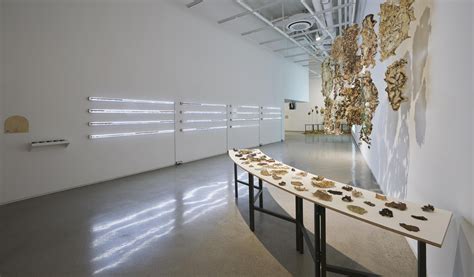 서울문화재단 2021 2022 공동창작 워크숍 지구와 예술 — Our Labour