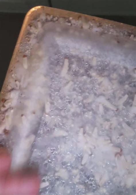 Wtf Are The Yellow Blobs R Contamfam