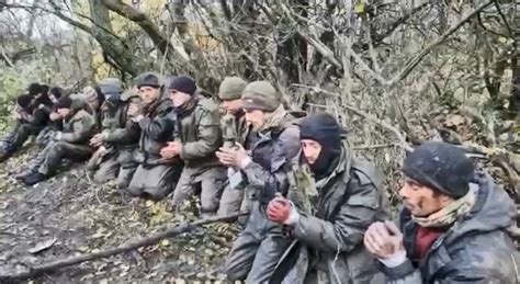 ЗСУ захопили в полон нову партію росіян більшість з Білгородщин відео Суспільство Stopcor