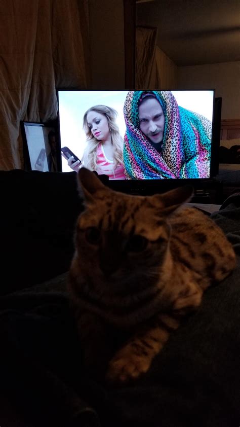 He S Right Behind Me Isn T He R Portugaltheman