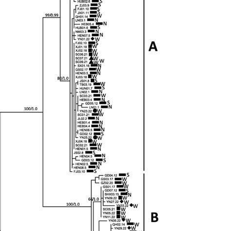 Arthrobotrys Oligospora Sample Collection Sites In China The Download Scientific Diagram