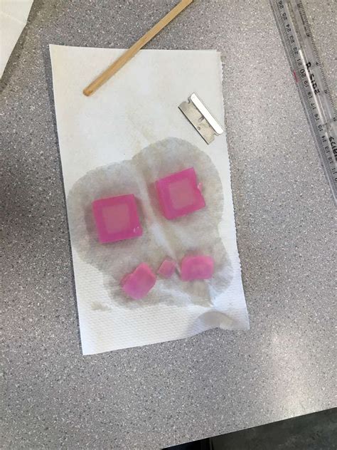 Diffusion In Agar Cubes Aubrey S Blog