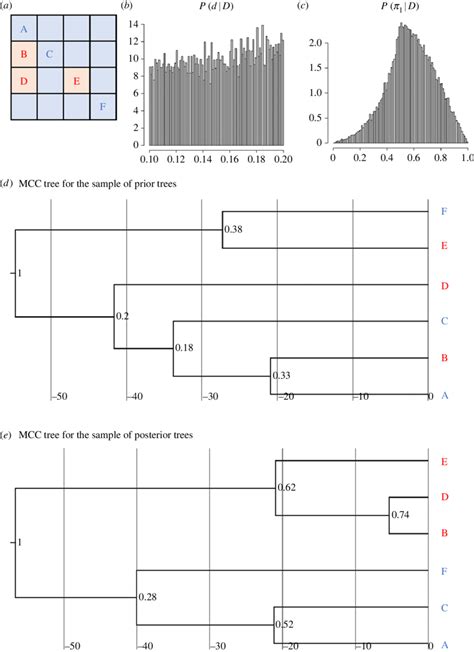 simulation on a two dimensional square lattice with four populations