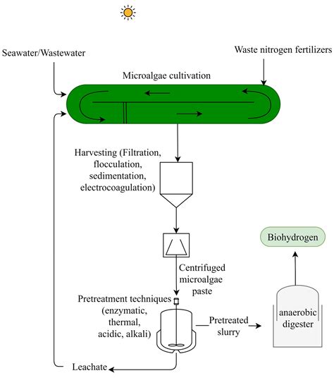 Microalgal Feedstock For Biofuel Production Recent Advances